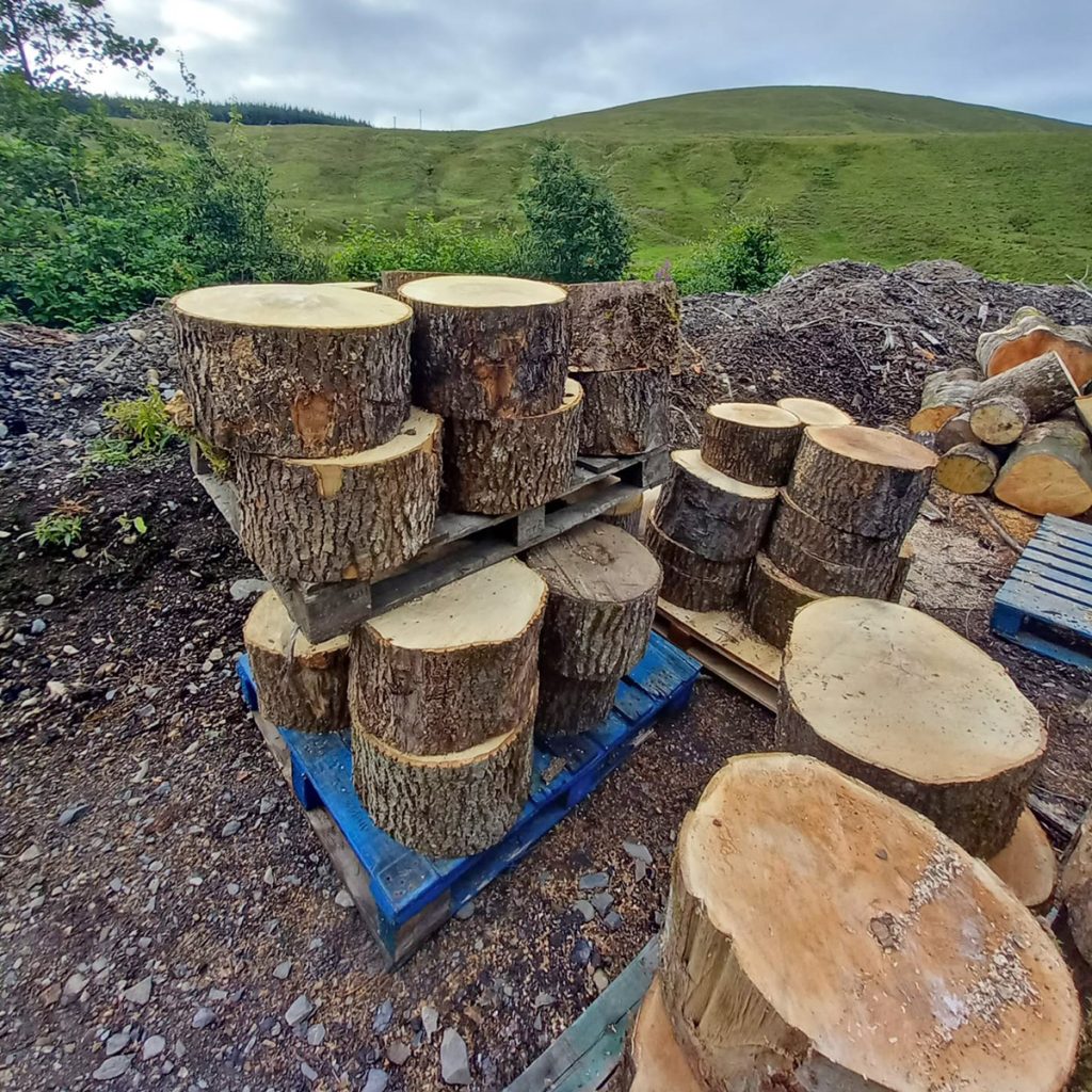 Kiln Dried Logs Scotland | Beaver Logs, Dumfriesshire